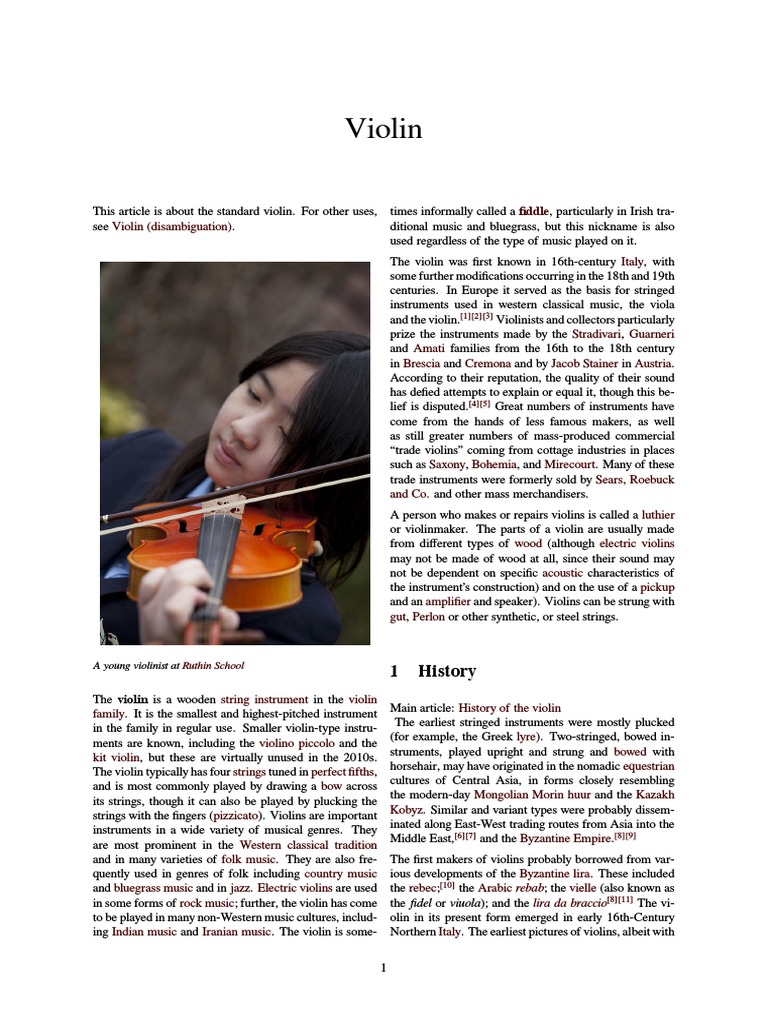 Violin | PDF | Violin | String Instruments