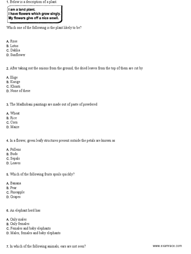 Nso Sample Paper Class 4 Download Free Pdf Solution Water