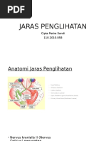 Anatomi Dan Fisiologi Jaras Penglihatan | PDF