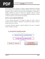 Présentation de L'INAPI | PDF | Brevet | Propriété intellectuelle