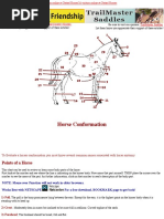 Parelli Pocket Guide | PDF | Horse Gait | Equus