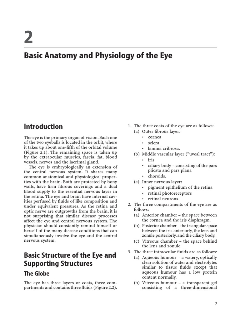 Anatomy Mata | PDF | Retina | Cornea
