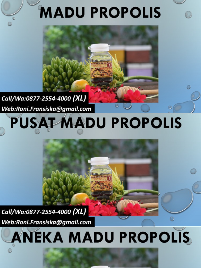 Presentation1 Pdf Pdf