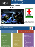 Dcap BLS Tic | PDF