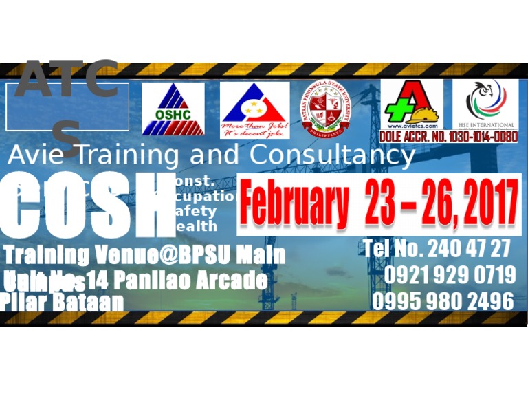 COSH Consultancy Services Overview | PDF