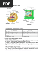 Sentrosom Dan Sentriol | PDF