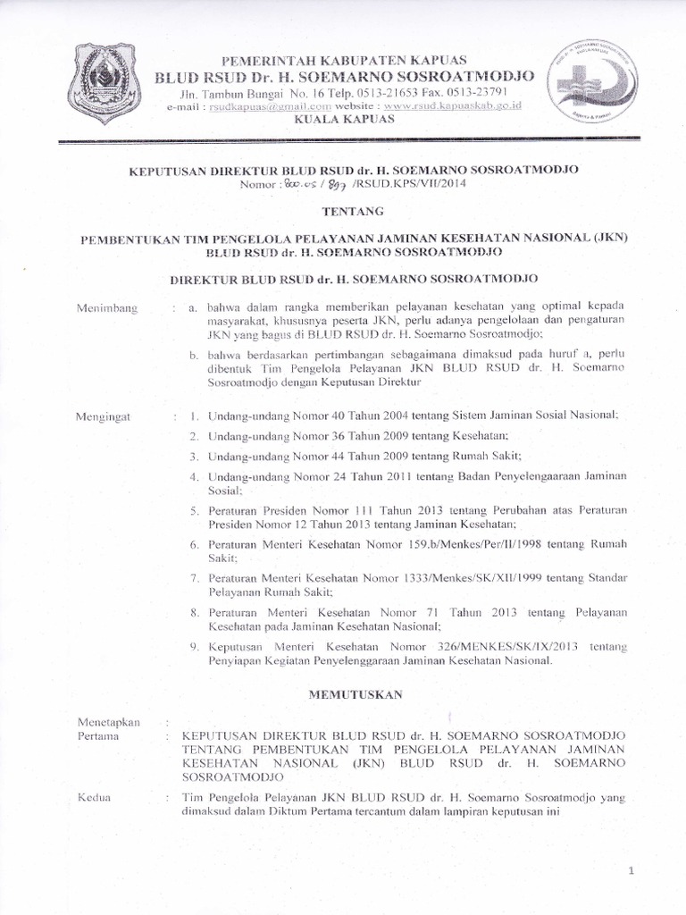 Sk Tim Pengelola Jkn Pdf