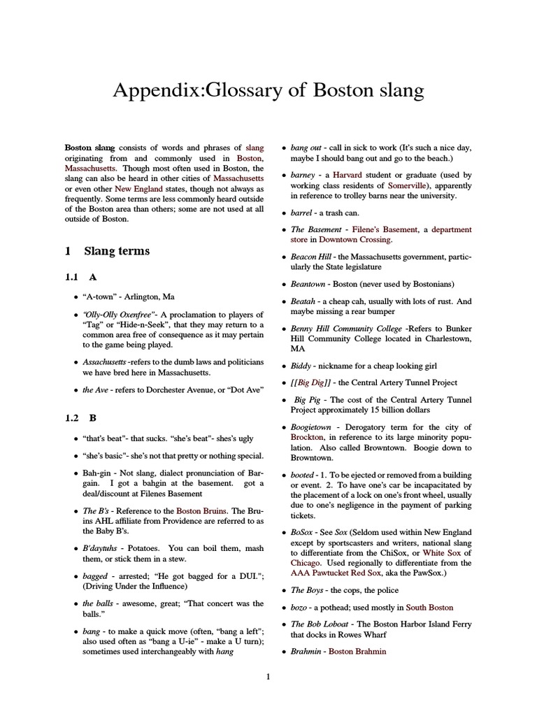 Boston Slang Glossary: Key Terms | PDF | Massachusetts | Charlestown