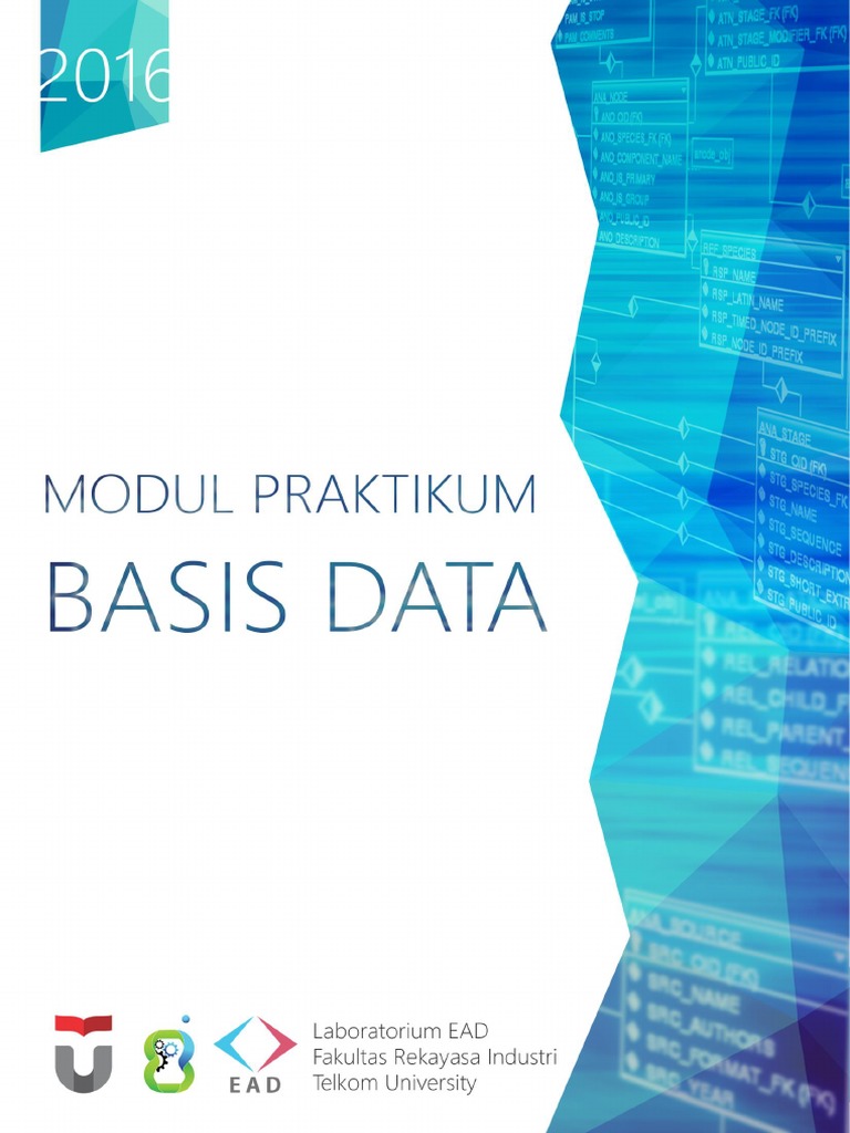 Modul 1-ER Dan Normalisasi | PDF