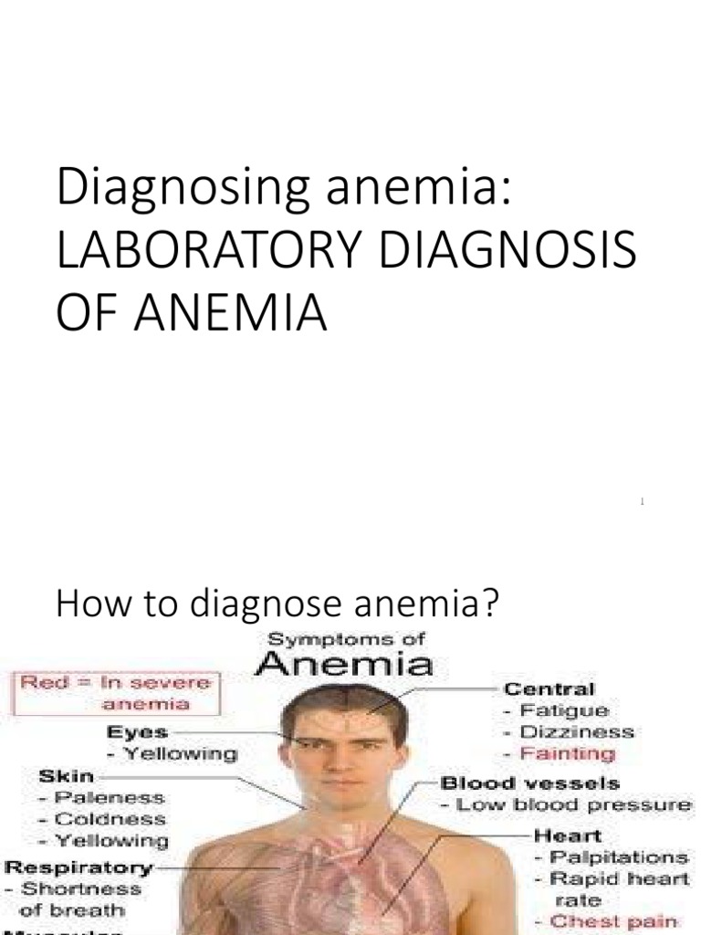 Diagnosing Anemia General Concepts | PDF