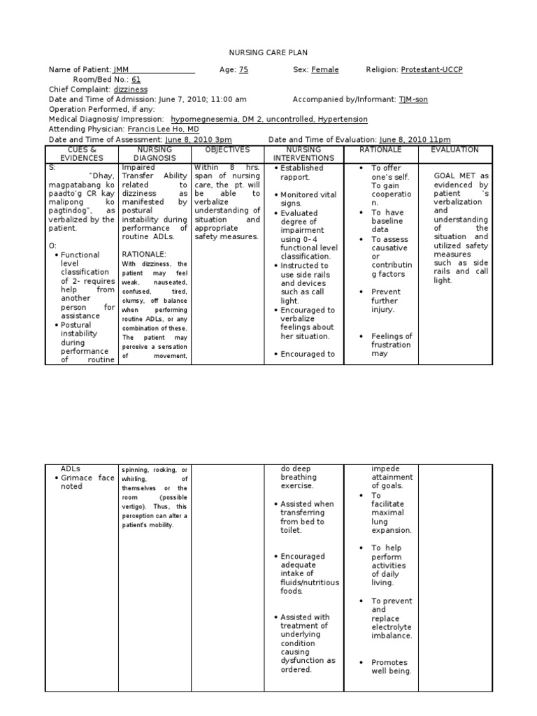 Nursing Care Plan | PDF | Nursing | Health Care