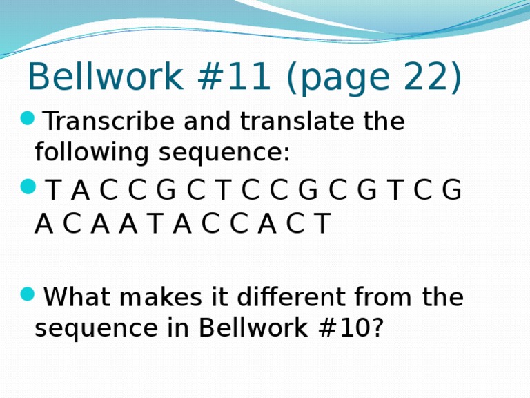 Bellwork #11 (Page 22) : Transcribe and Translate The Following ...