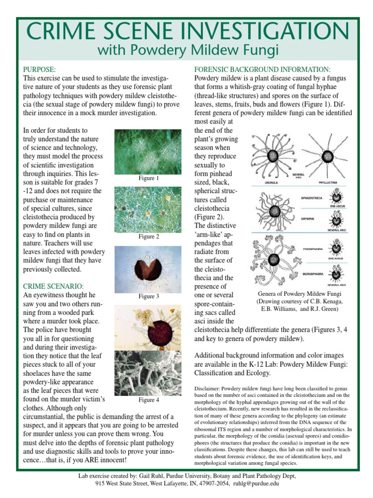 Crime Scene Investigation: With Powdery Mildew Fungi | PDF | Forensic ...