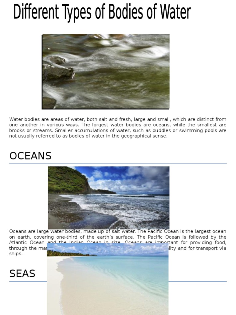 Types of Water Bodies Explained | PDF | Sea | Fresh Water