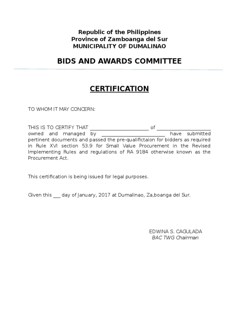 Bids and Awards Committee: Republic of The Philippines Province of ...