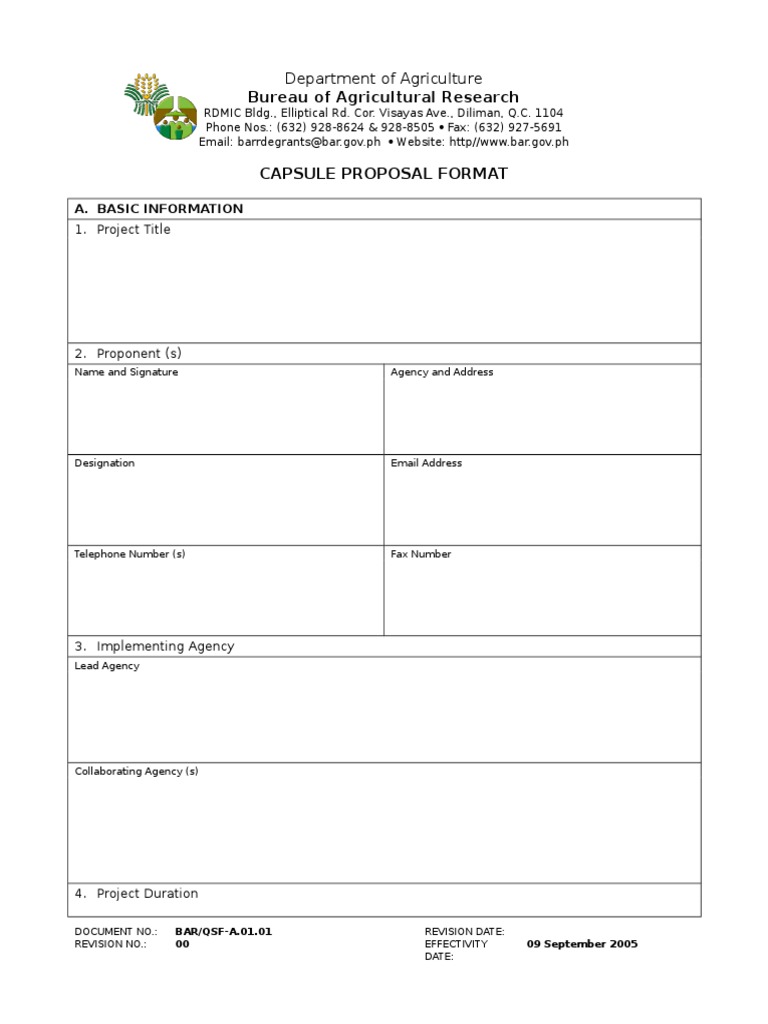 CapsuleProposalFormat (Rev00) | PDF | Information Technology ...