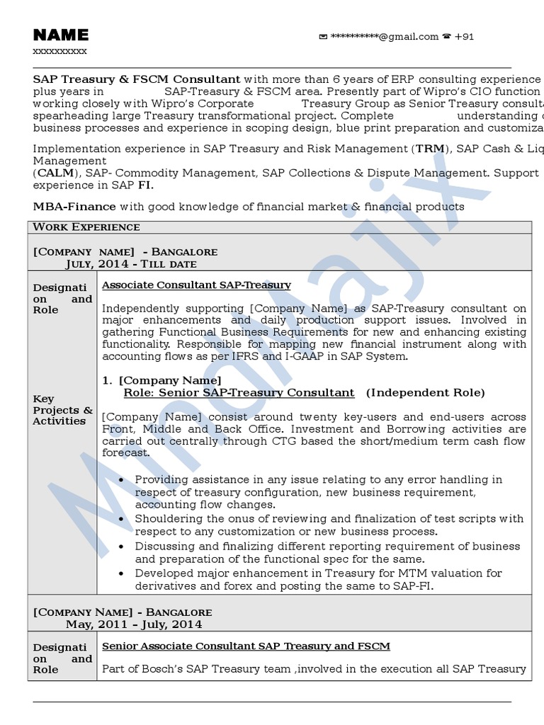 SAP FSCM Sample Resume 1 | Derivative (Finance) | Sap Se