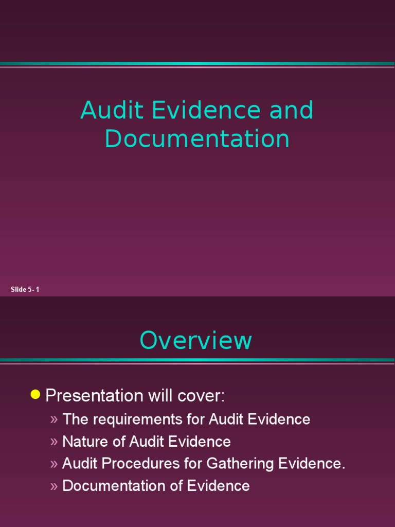 Audit Evidence and Documentation | PDF | Audit | Evidence