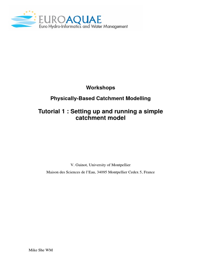 Tutorial 1: Setting Up and Running A Simple Catchment Model | PDF