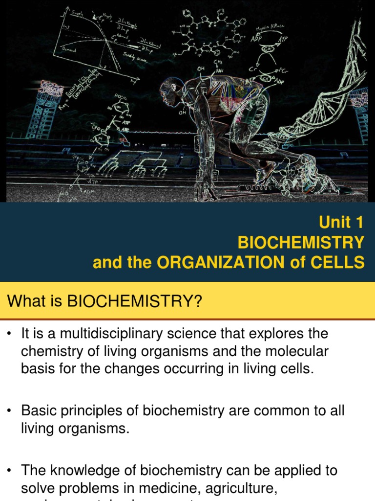 Unit 1 Biochemistry and The Organization of Cells | PDF | Endoplasmic ...