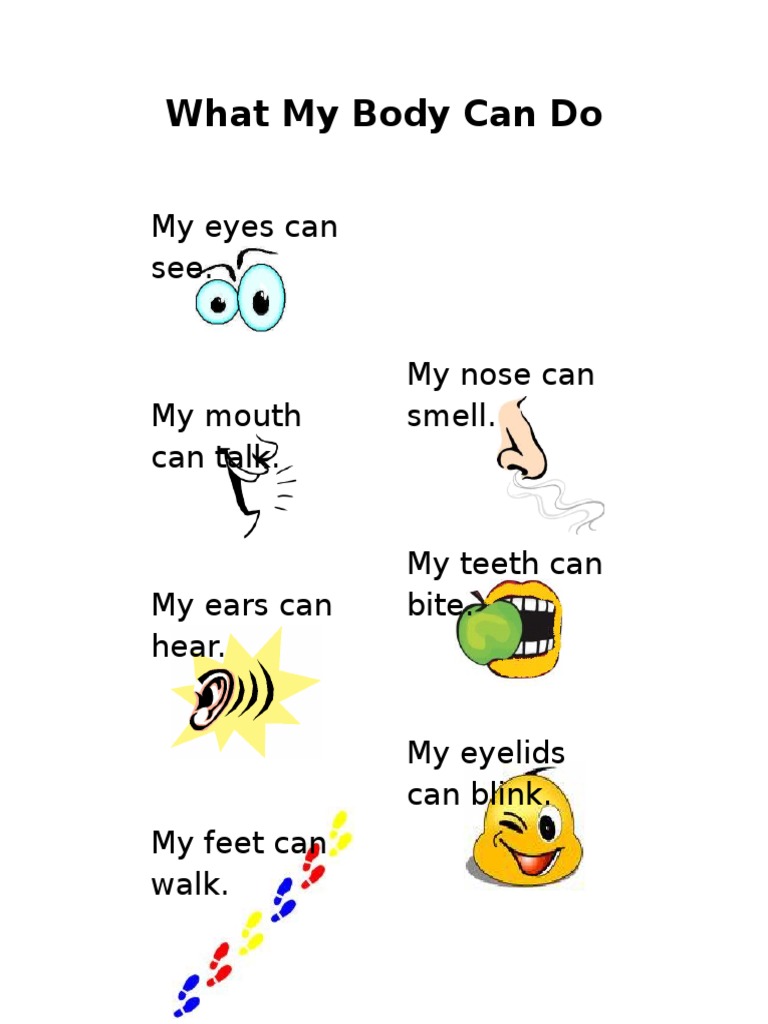 What My Body Can Do: My Eyes Can See. My Nose Can Smell | PDF