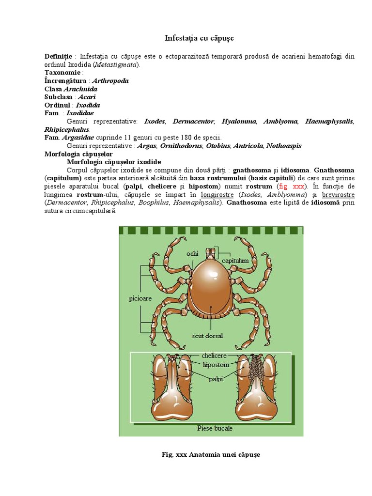 Infestatia Cu Capuse | PDF
