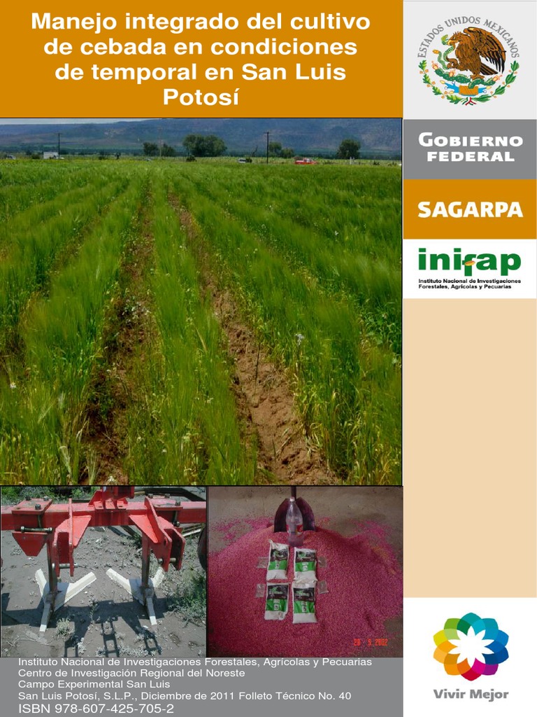 Cultivo de Cebada | PDF | Siembra | Cebada