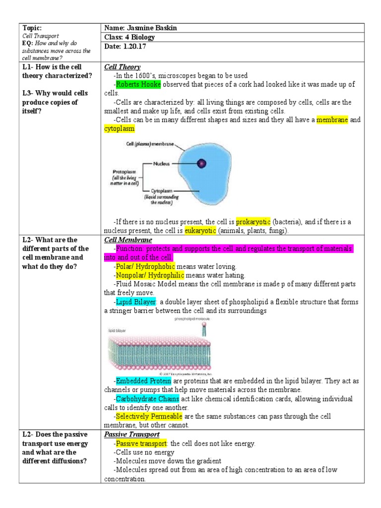 cornell notes 1 | Cell Membrane | Cell (Biology)
