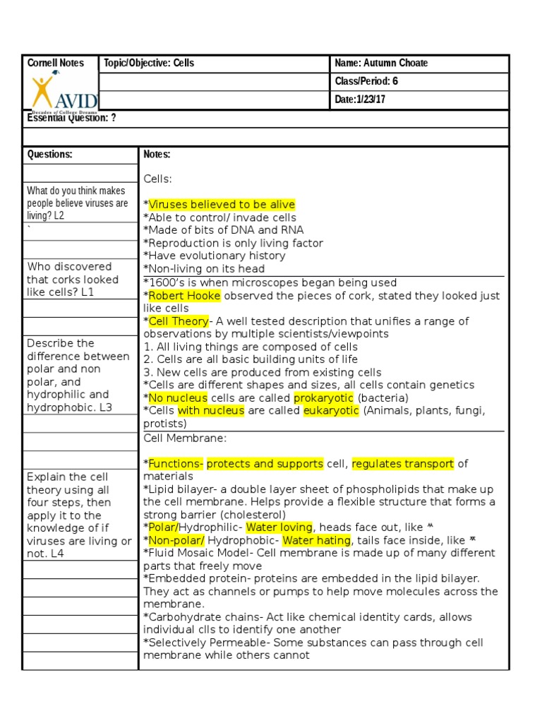 Cornell Notes Cell Transport | PDF | Cell Membrane | Lipid Bilayer