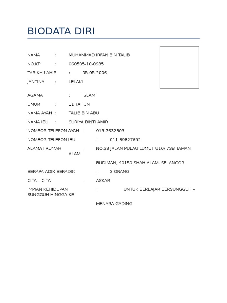 Biodata Diri Irfan | PDF