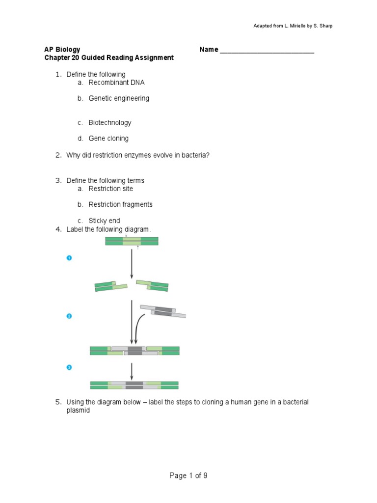 CH 20 Guided Reading | PDF | Molecular Cloning | Plasmid