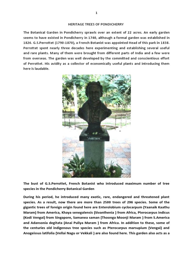 Heritage Trees of Pondicherry Garden | PDF | Trees | Organisms