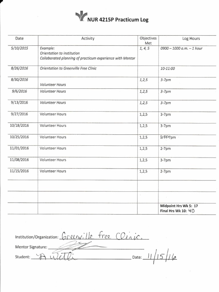 Final Practicum Log New | PDF