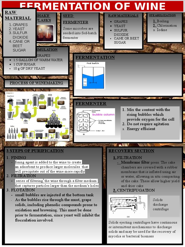 UniKL MICET CPB 30103 Biochemical Engineering Mini Project (Poster A3 ...