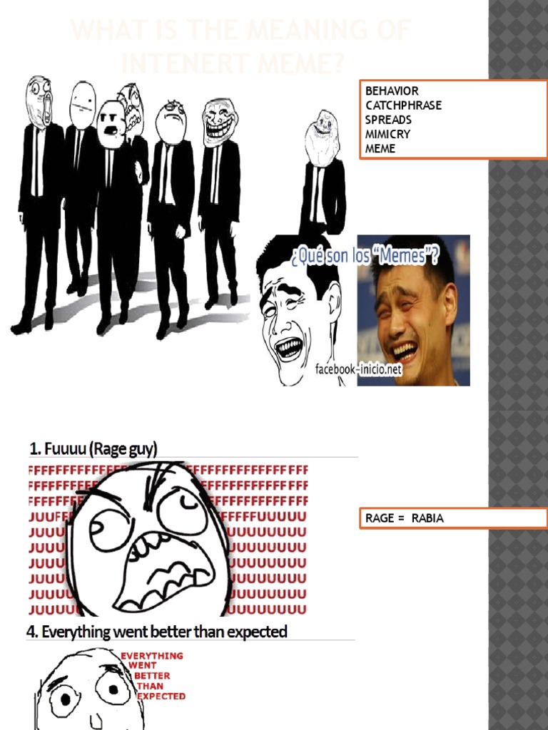 What Is The Meaning of Memes | PDF