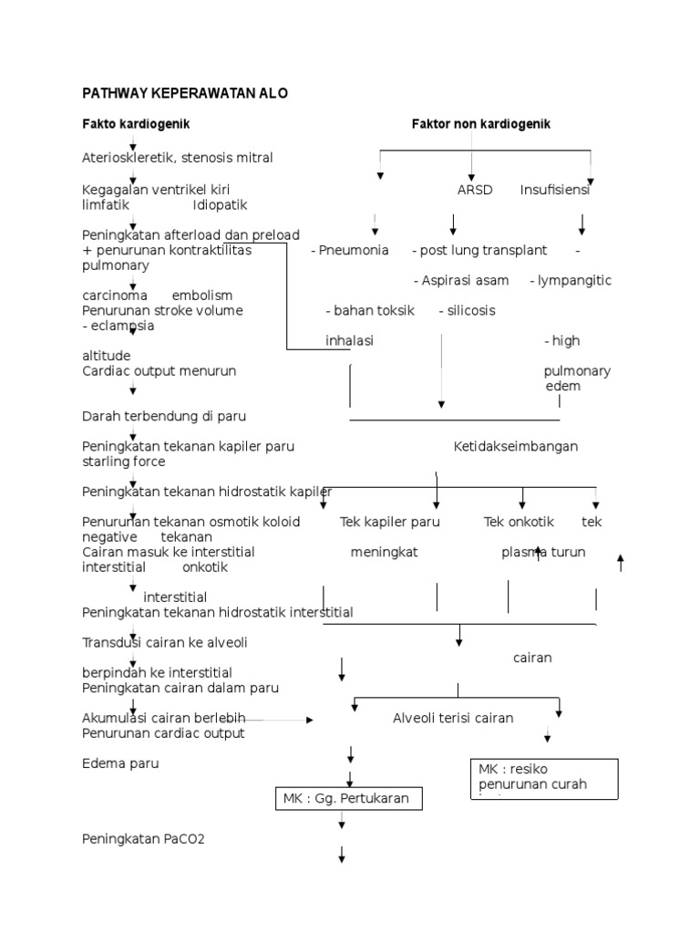 Pathway Keperawatan Alo | PDF
