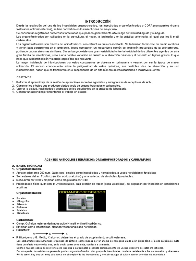 CARBAMATOs | PDF | Acetilcolina | Insecticida
