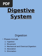 APFLU SYRUP Chlorphenamine Maleate BP 0.5mg Paracetamol BP 120 MG and ...