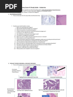 CAP Protocol-2016 Thyroid - Highlighted | PDF | Neck | Carcinoma