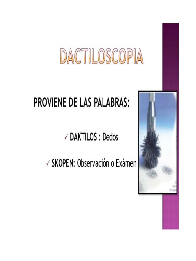 Dactilograma | Huella dactilar | Naturaleza