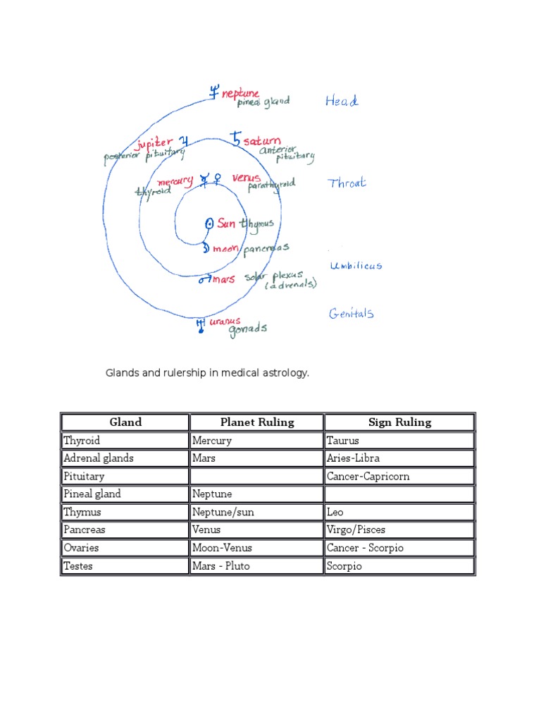 Glands, Planets and Medical Astrology | PDF | Planets In Astrology | Neck
