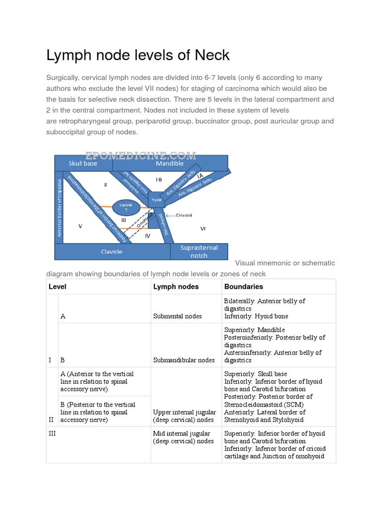 Lymph Node Levels of Neck | PDF