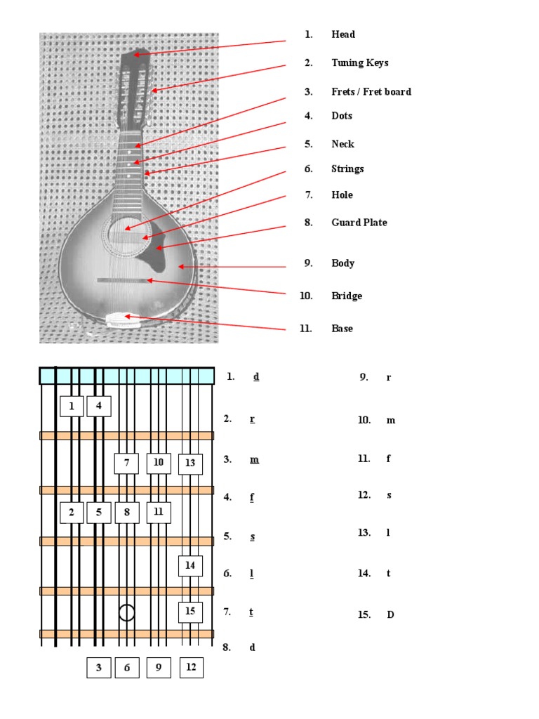 Head 2. Tuning Keys 3. Frets / Fret Board 4. Dots 5. Neck 6. Strings 7 ...