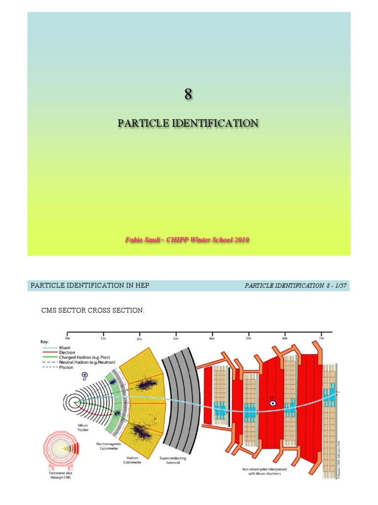 Particle Identification | PDF | Atlas Experiment | Particle Physics
