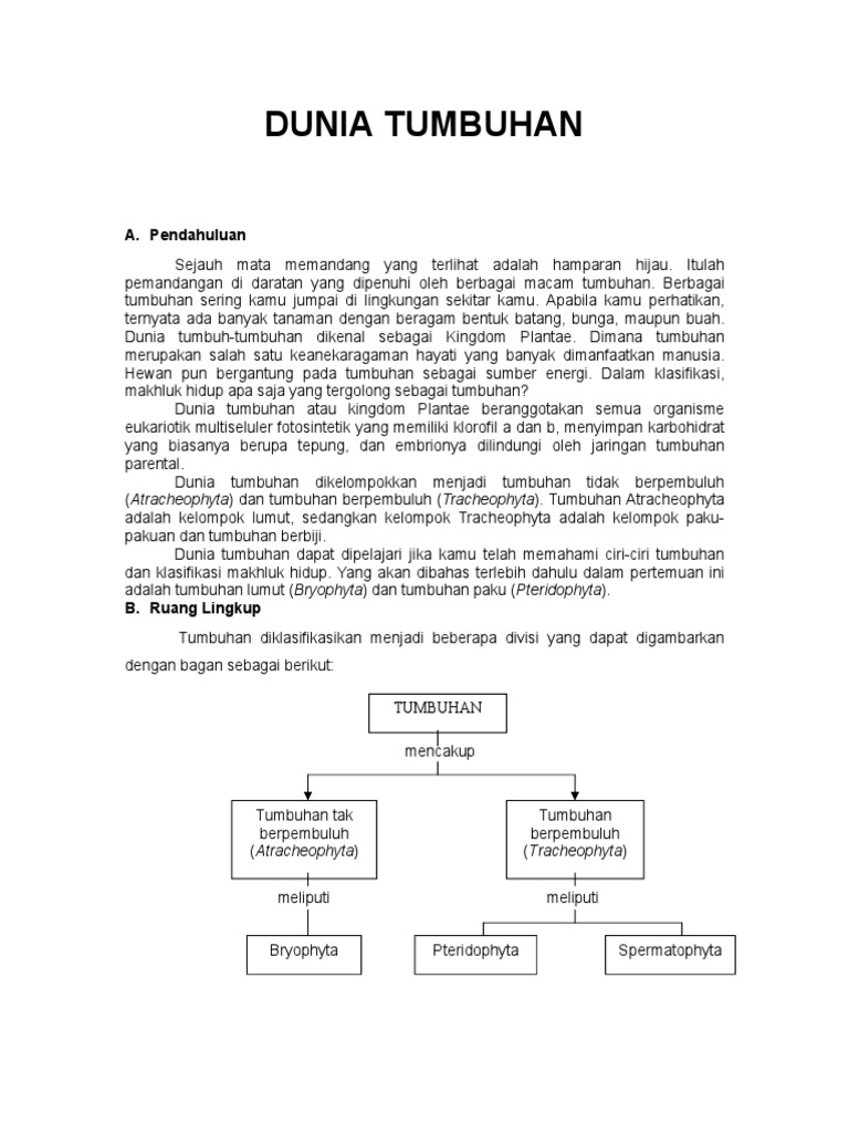 Plantae 1 PDF | PDF | Griya & Taman | Kesehatan Holistik