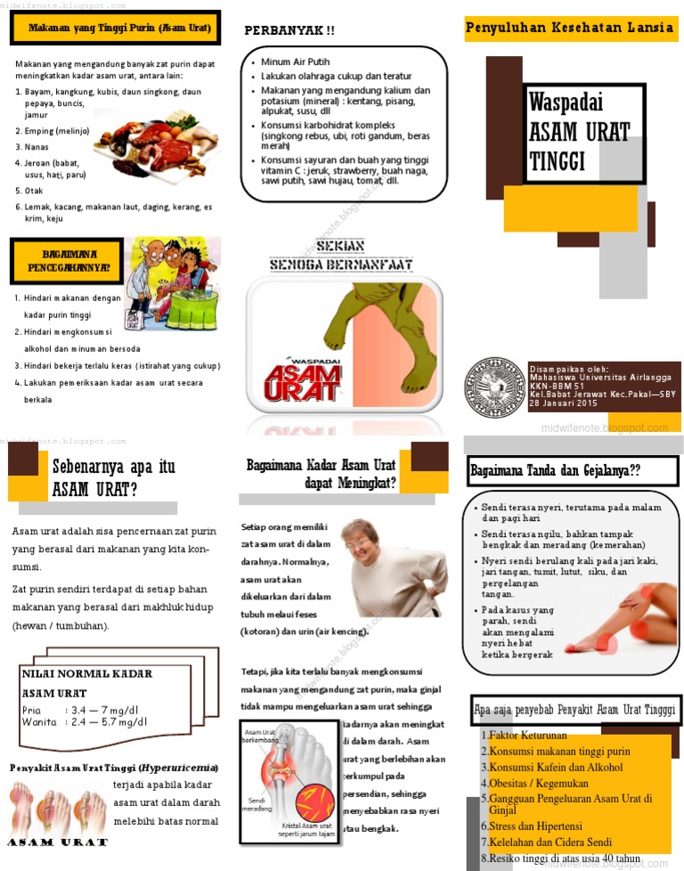 Leaflet Asam Urat PDF | PDF