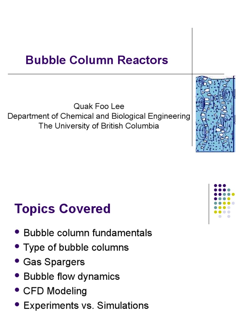 Bubble Column | PDF | Fluid Dynamics | Computational Fluid Dynamics