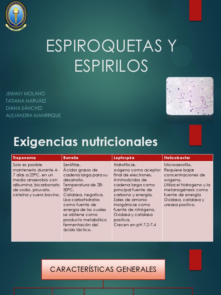 Diferencias entre Espirilos y Espiroquetas | PDF | Las bacterias ...
