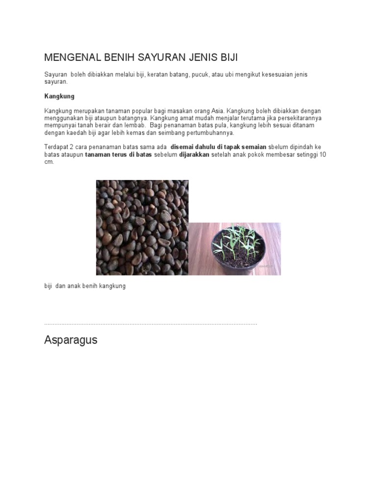 Mengenal Benih Sayuran Jenis Biji | PDF
