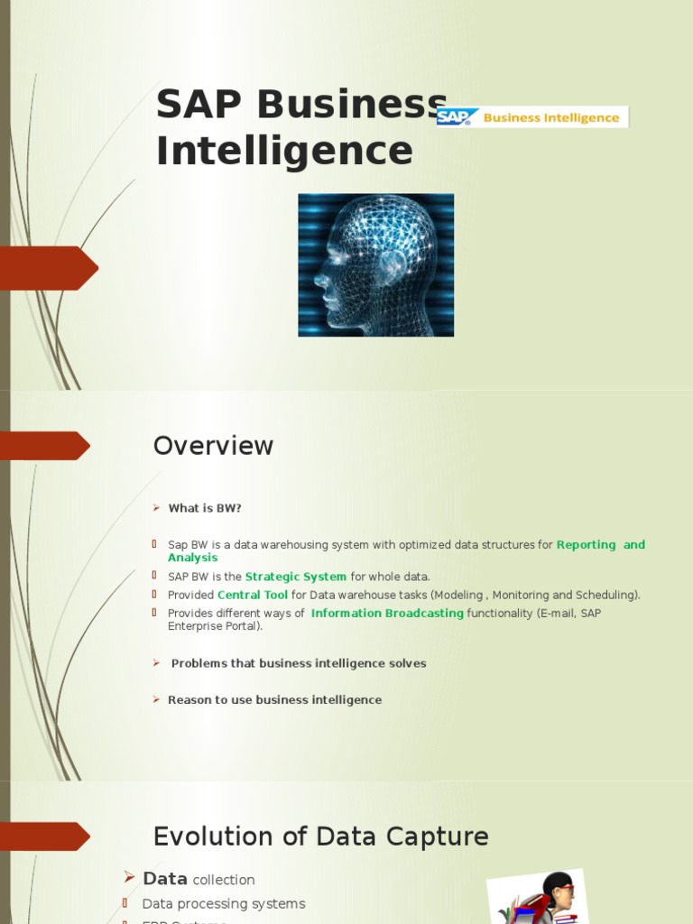 SAP Business Intelligence Overview Guide | PDF